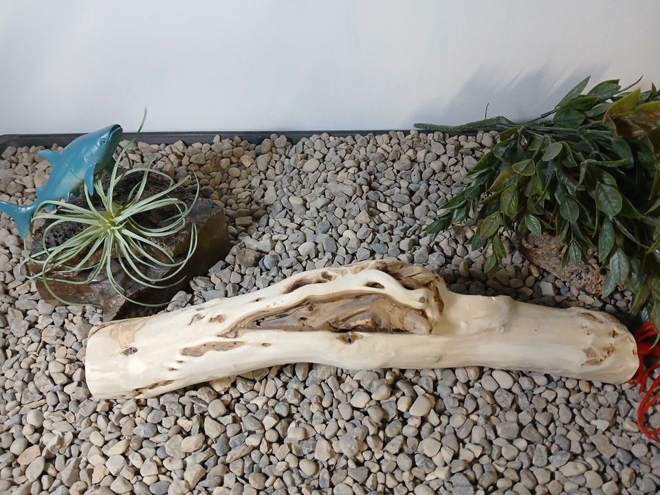 Driftwood aquarium fish & reptiles 4x14" natural basking log decor | eBay