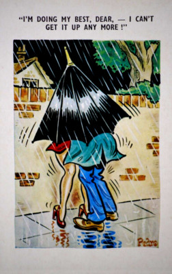Postcard Seaside Comic Saucy Risqué Umbrella Rain Wet Couple Sunny ...