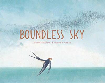 Boundless Sky by Amanda Addison Book The Fast Free Shipping ...