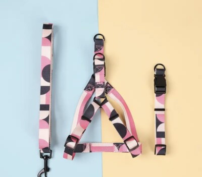 3pcs - Harness With Leash And Collar, Colorful harness - MEDIUM - Ships ...