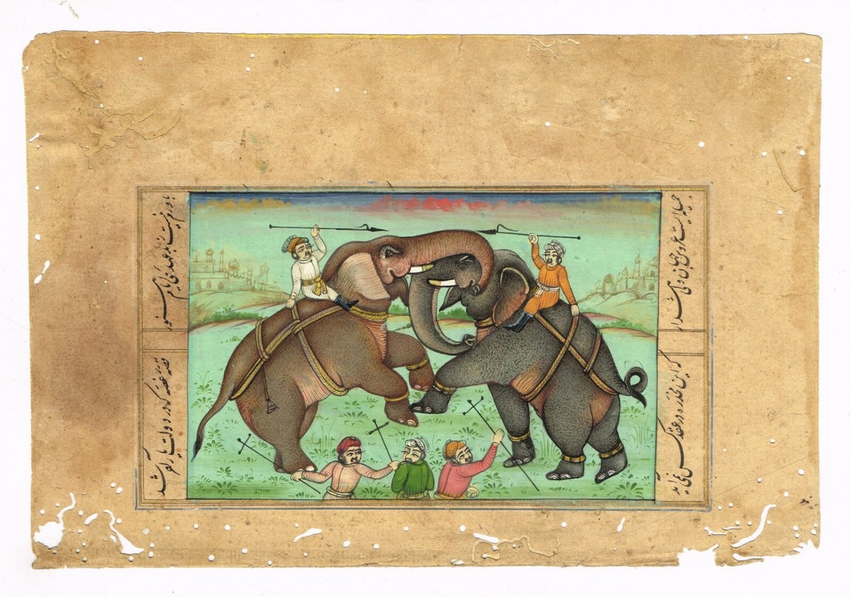 Mughal Miniature Paintings Elephant