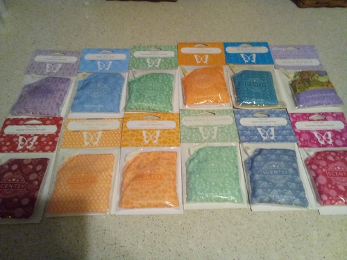 Scentsy Lot of 12 Scent Paks | eBay