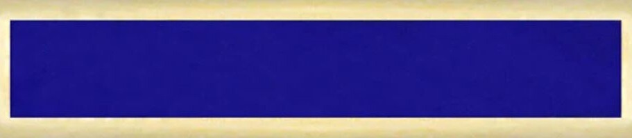 ARMY PRESIDENTIAL UNIT CITATION AWARD RIBBON GOLD FRAME PIN UP US ARMY ...