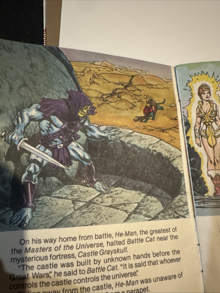 Master of the Universe 1981 Mattel Mini Book King of Castle Grayskull ...