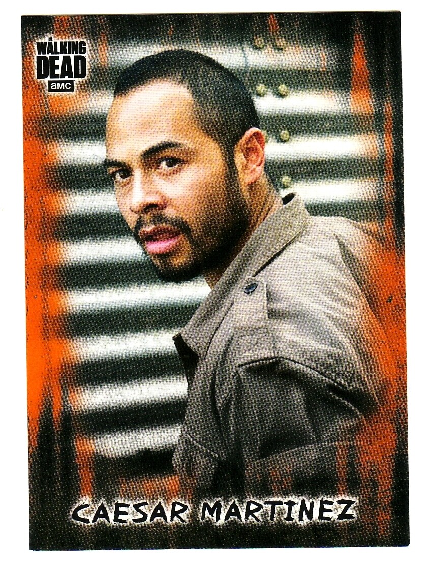 WALKING DEAD HUNTERS AND THE HUNTED ORANGE PARALLEL BASE CARD 41 CAESAR ...