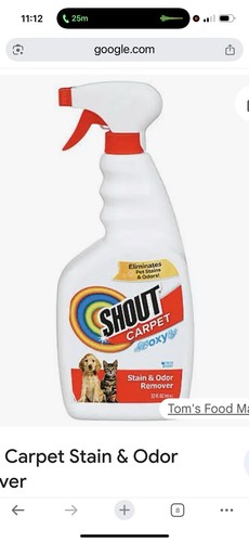 SHOUT Carpet Oxy 32oz Fresh Scent Stain & Odor Remover Full | eBay
