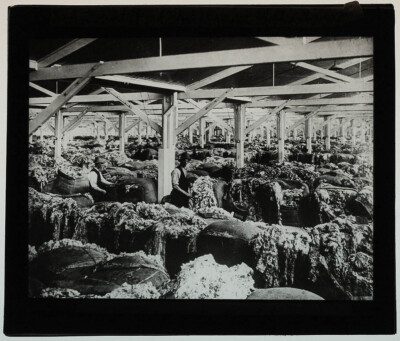 Original 1920s glass slide AUSTRALIA Port Adelaide, wool transport ...