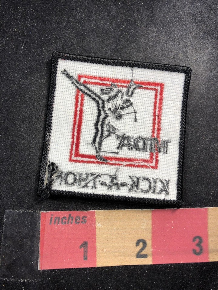 MDA Muscular Dystrophy Association Kick-A-Thon Martial Arts Themed ...