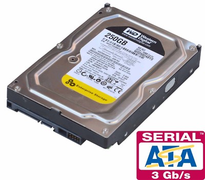 250GB S-ATA Western Digital WD2502ABYS Hard 8,9 CM 3,5 " 7200u Internal ...
