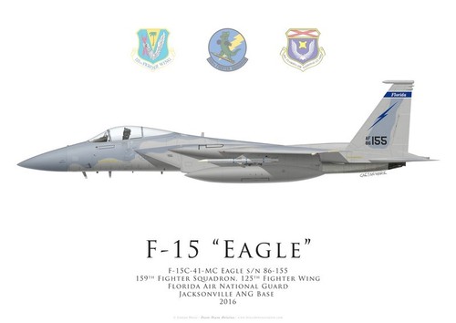 Print F-15C Eagle, 159th FS, 125th FW, Florida ANG (by G. Marie) | eBay UK