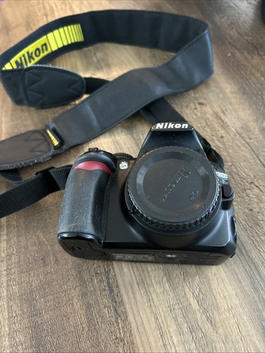 Nikon D 3100 | eBay