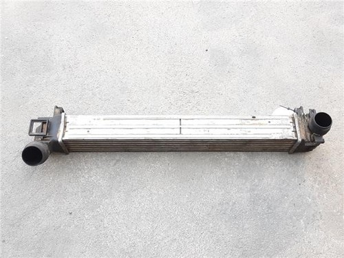 INTERCOOLER Renault Megane III Coupe (DZ) 2009 144961285R | eBay