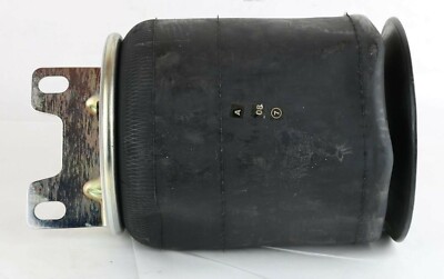 New 39297K99 Dayton Parts Air Spring | eBay