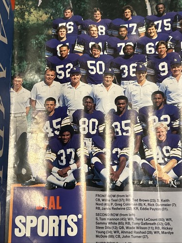 Vintage 1981 NFL Minnesota Vikings Team Poster 20" x 17" RARE | eBay