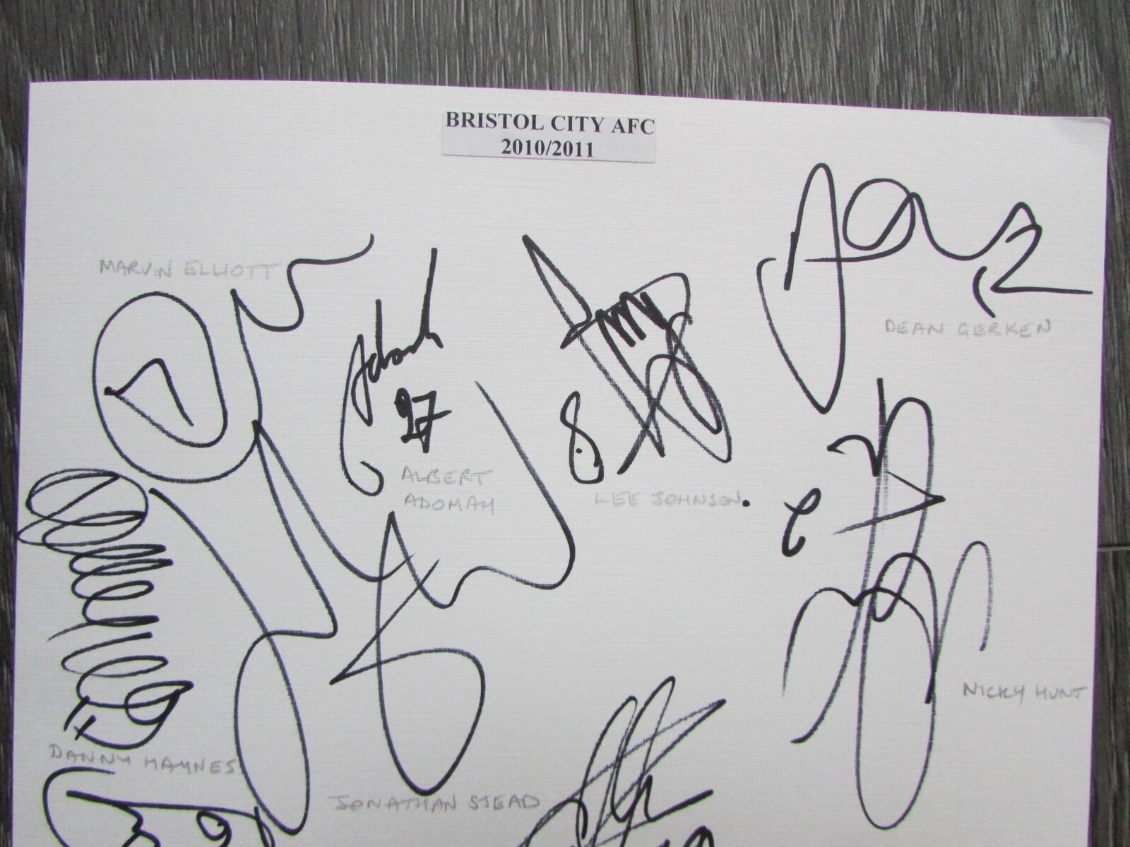 Bristol City Football Club 2010 - 2011 Hand Signed Autographed Team ...