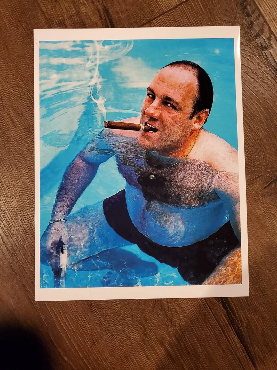 Tony Soprano Gun