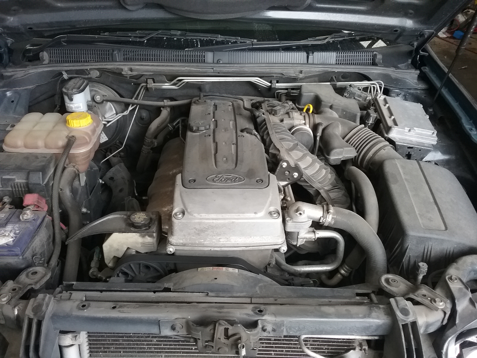 FORD FG FALCON XR6 DOOR TRIM / CARD PASSENGER REAR BLACK CLOTH | eBay