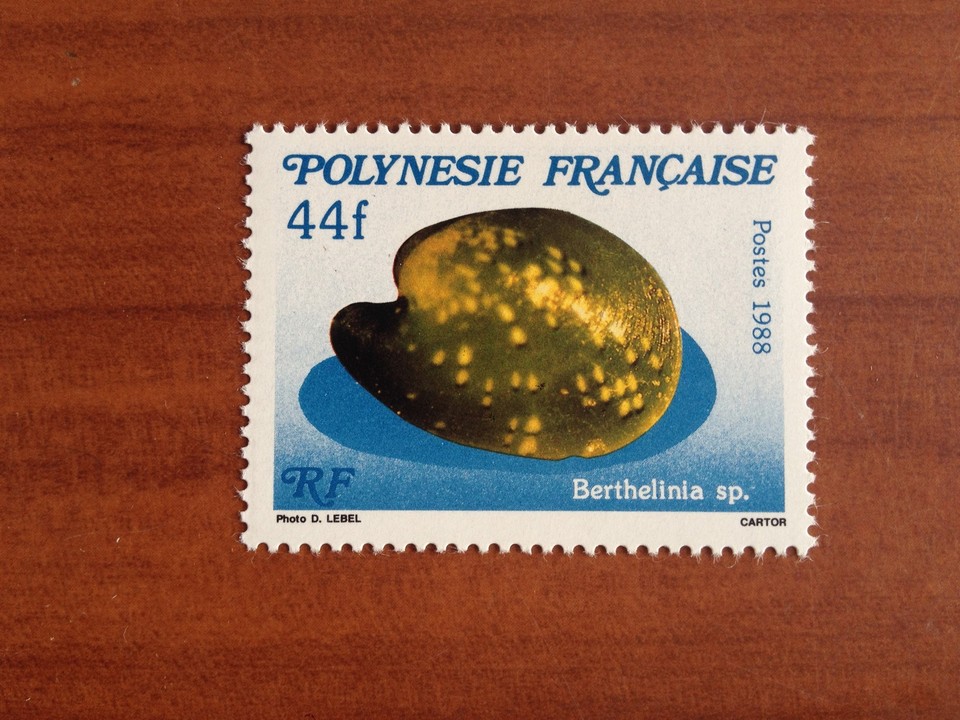 Polynesia Num 314 ** MNH Fauna Shell Year 1988 | eBay
