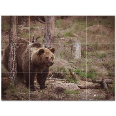 Bear Ceramic Tile Wall Mural PT500130. 24" W x 18" H (12) 6x6 tiles | eBay