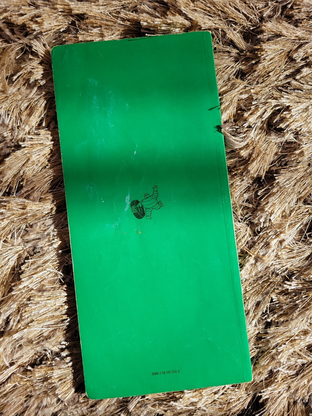 GUIDE VERT MICHELIN PYRÉNÉES 23ÈME ÉDITION 1974 CARTE | eBay