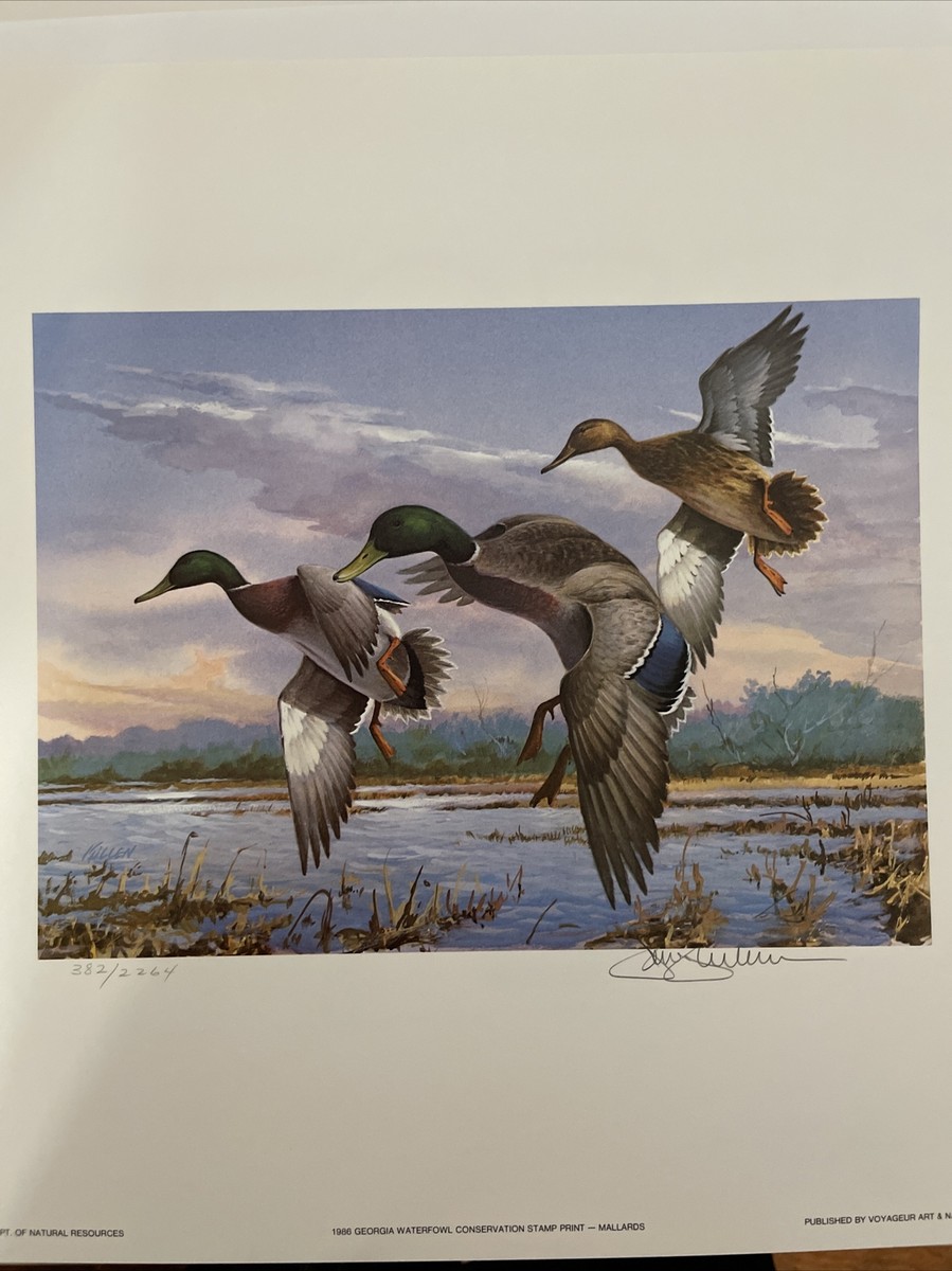 Goose Hunting Drawings