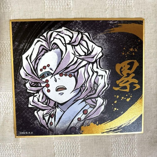 Demon Slayer Rui Visual Color Paper Collection Used Rare Collectible | eBay
