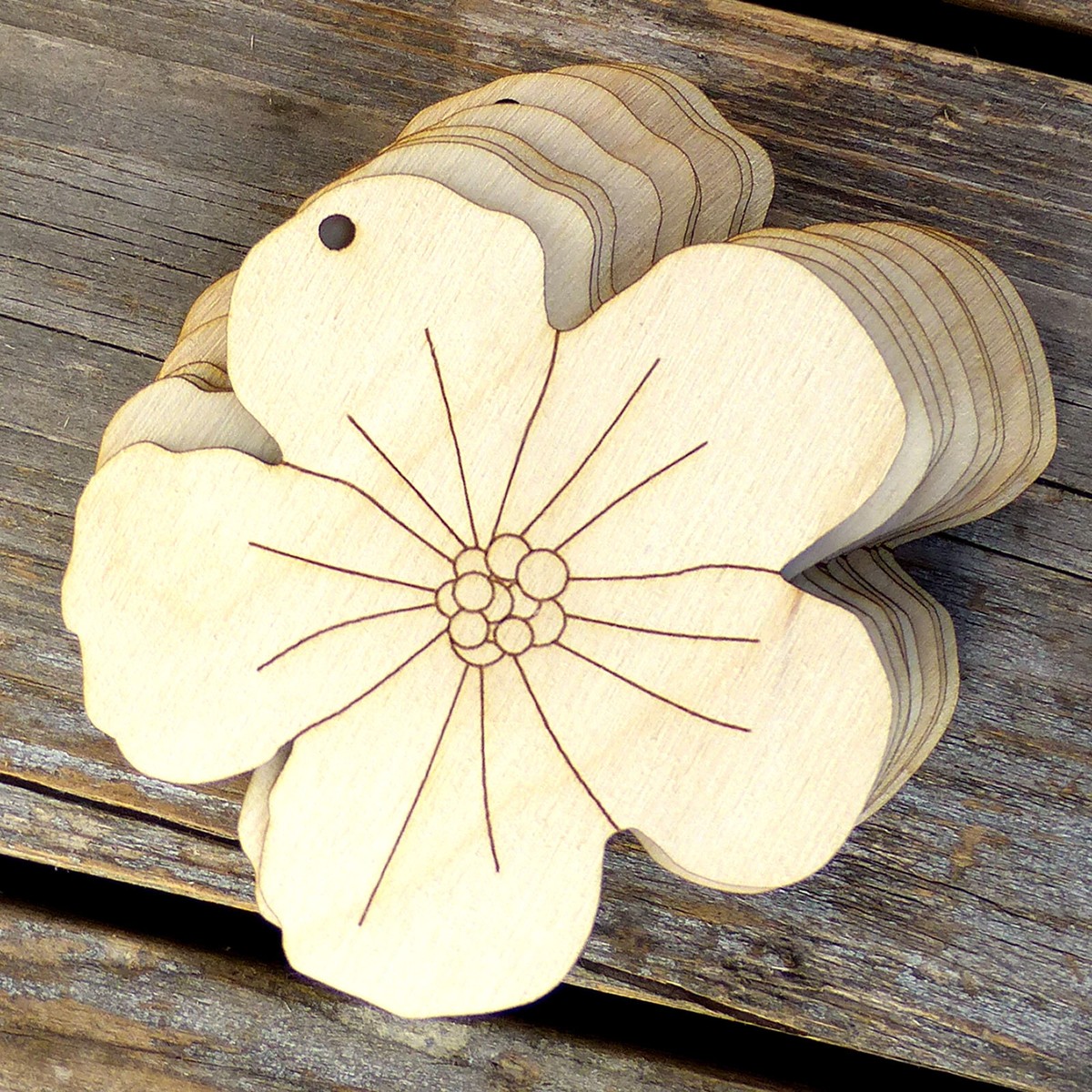 Wood Poppies