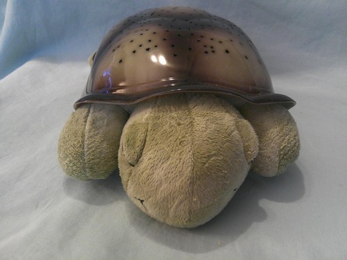 Cloud B Twilight Tranquil Turtle Star Night Light Sky Projector ...