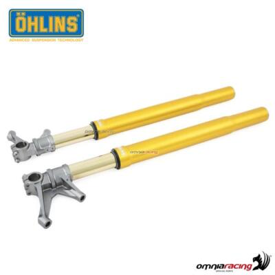 Fork Ohlins FGRT250 adjustable complete with cartridges 30mm gold ...