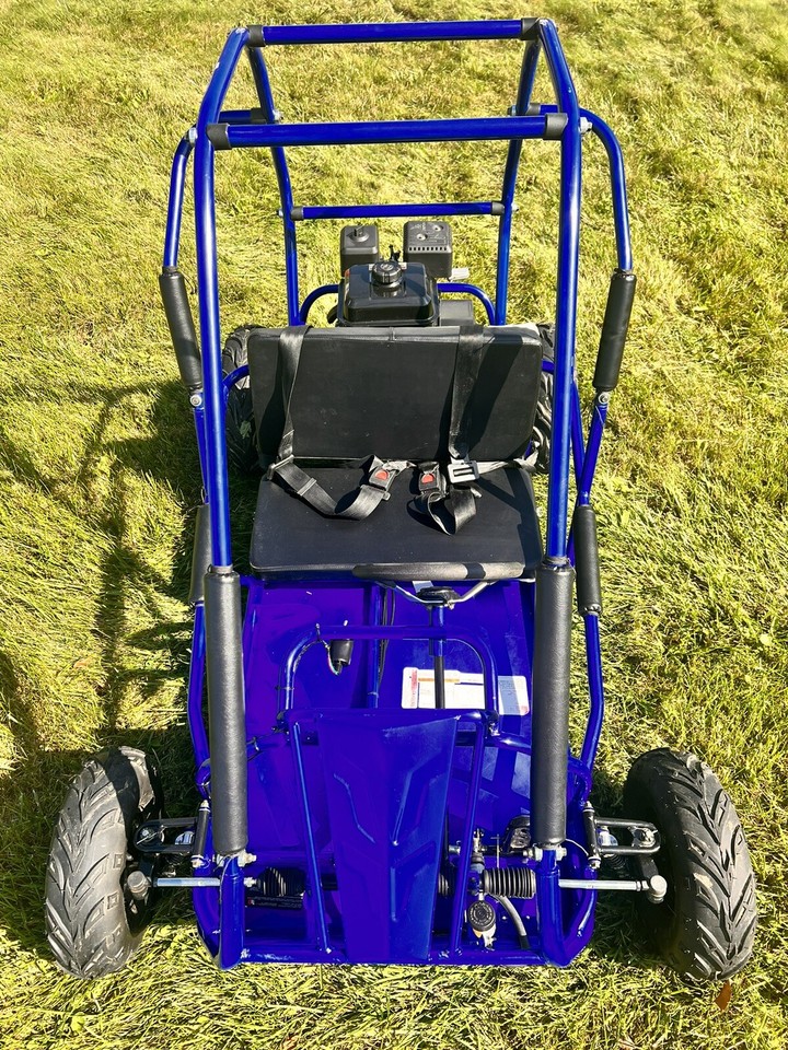 Blue Go Kart—Blue Mid XRS—6.5 Motor—Trail Master | eBay