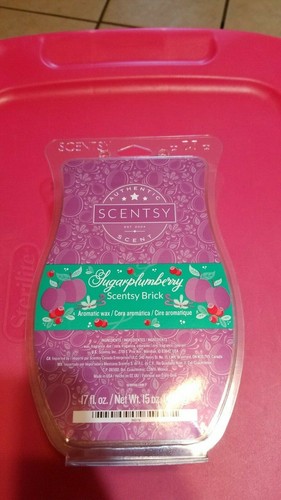 SCENTSY BRICKS- - ALL NEW- LOOK AT THE DROP DOWN BOX SHIPS FREE- HUGE ...