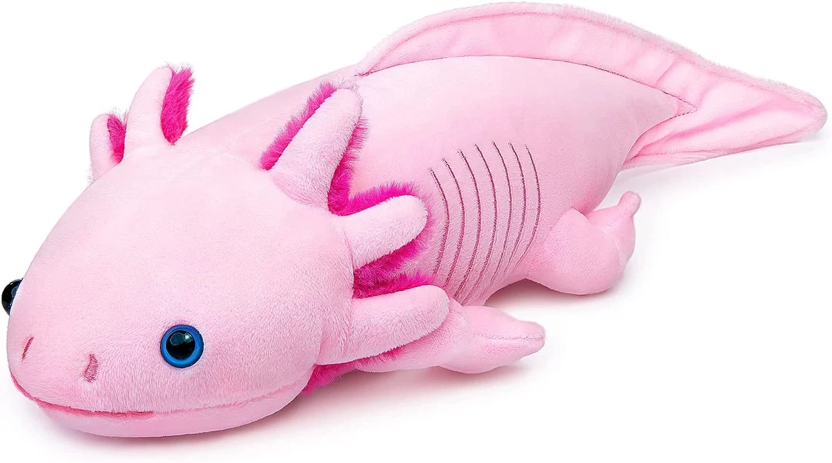 Pink Salamander