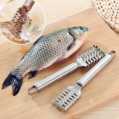Fish Scaler Comfortable Grip Fish Scale Scraper For Kitchen | eBay UK