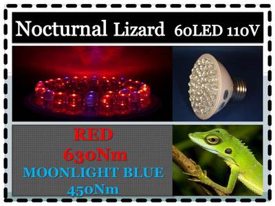 Nocturnal Lizard Reptile 60LED Moonlight Blue Red Light Bulb 110V E27 ...