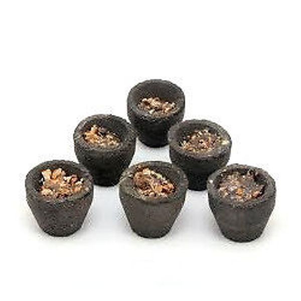 20 Cup Naivedya Sambrani Hindu Puja Protect From Devil Eye Shop/home ...