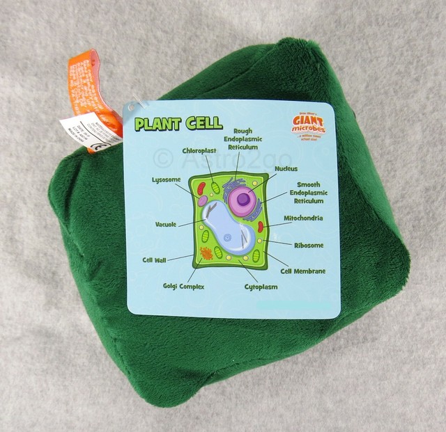 GIANT MICROBES-PLANT & ANIMAL CELL-Stuffed Plush Biology Science ...