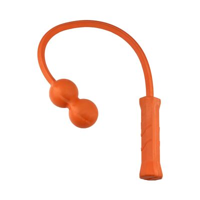 The Total Serve 2-Ball ServeMaster: Serve Tool and Swing Trainer for ...