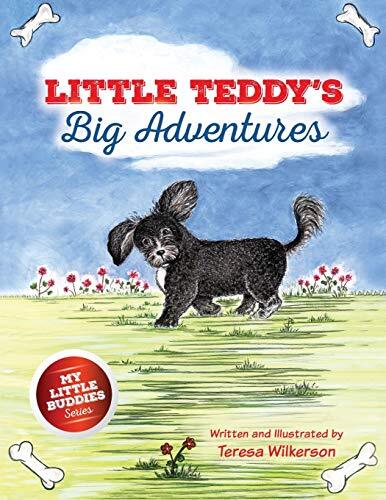 Little Teddy's Big Adventures 9781939289520| eBay