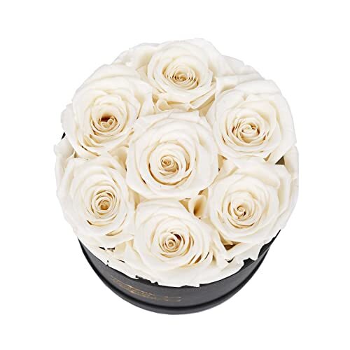 NATROSES Preserved Real Roses in a Box Roses That Last Up to 3 Medium ...