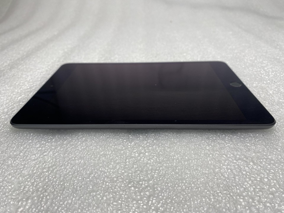 Apple iPad mini (5th Gen) (A2126) WiFi + Cellular Space Gray 256GB | eBay
