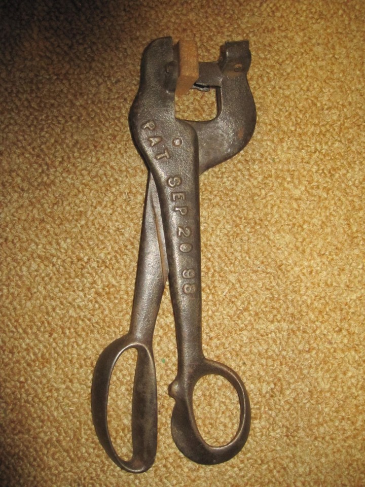 ANTIQUE "DR. MILLER PIG SNOUTER"; PATENT DATE SEPTEMBER 20, 1898 | eBay