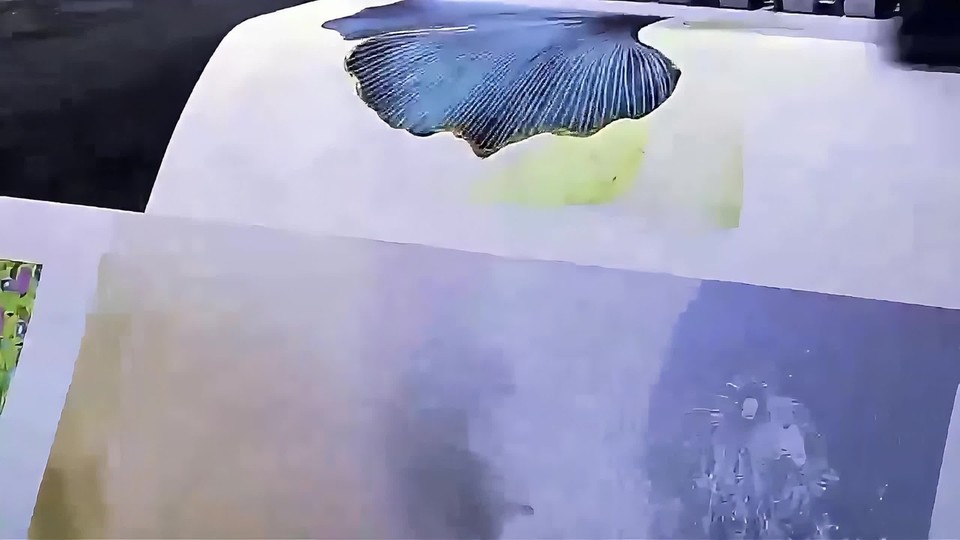 Gratitude By Jack Garren (Old Woman Saying Grace) Canvas Art Poster And ...