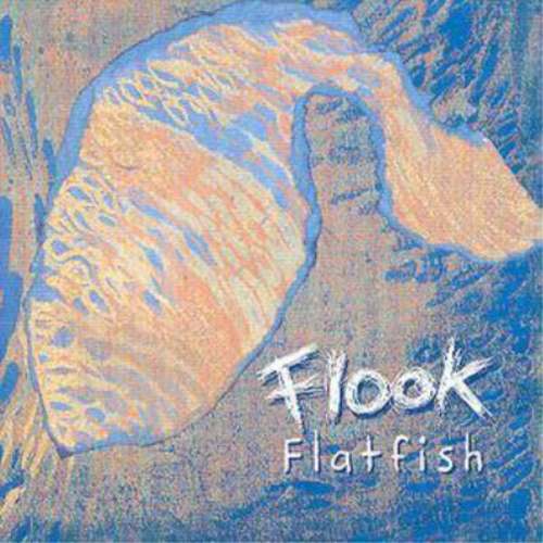 Flook Flatfish (CD) Album 5036098001044 | eBay