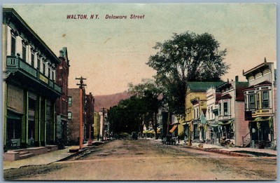 WALTON NY DELAWARE STREET ANTIQUE POSTCARD | eBay