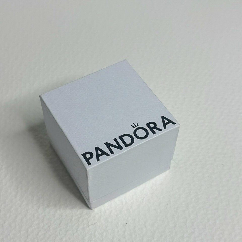 Pandora Sterling Silver Signature Safety Chain - 791877-05 | eBay