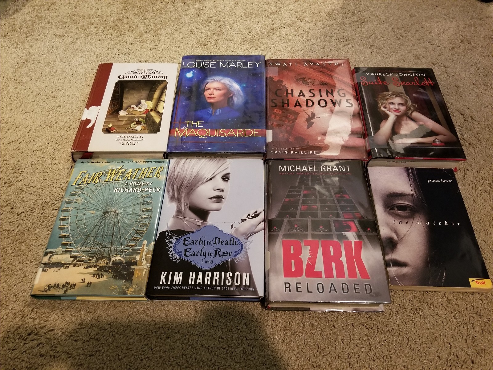Mixed Lot of 25 Young Adult Age Chapter Books | eBay