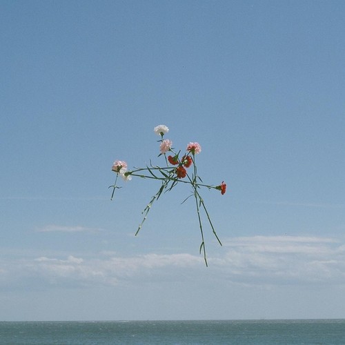 Floating Flowers Over Ocean Surreal Art Photography Print 8x10 11x14 | eBay