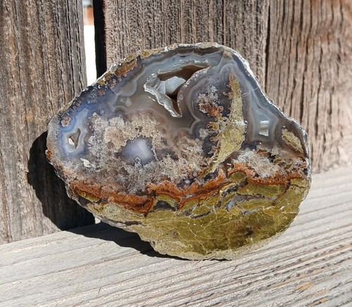 Eye catching Moss agatized petrified wood from Indonesia. | eBay