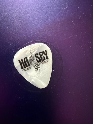 HALSEY - - - STAGE USED guitar pick !!!! VERY RARE !!!! | eBay
