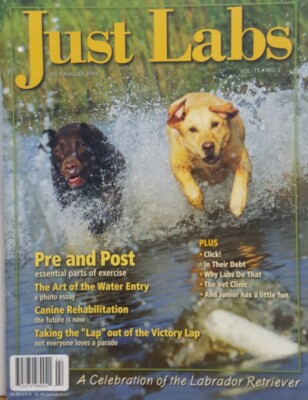 Just Labs July August 2015 Exercises Vet Clinic Canine Rehab FREE ...